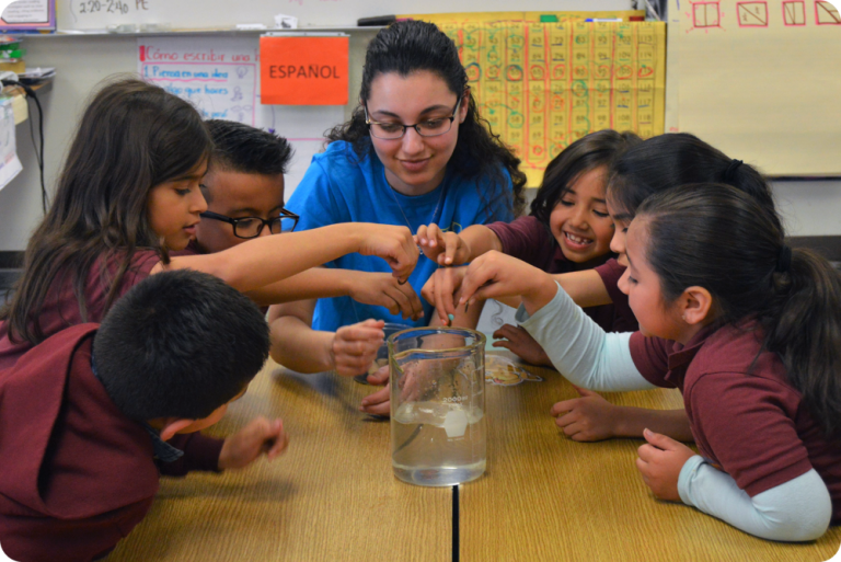 Setting Up Your Classroom Science Lab – Community Resources for Science